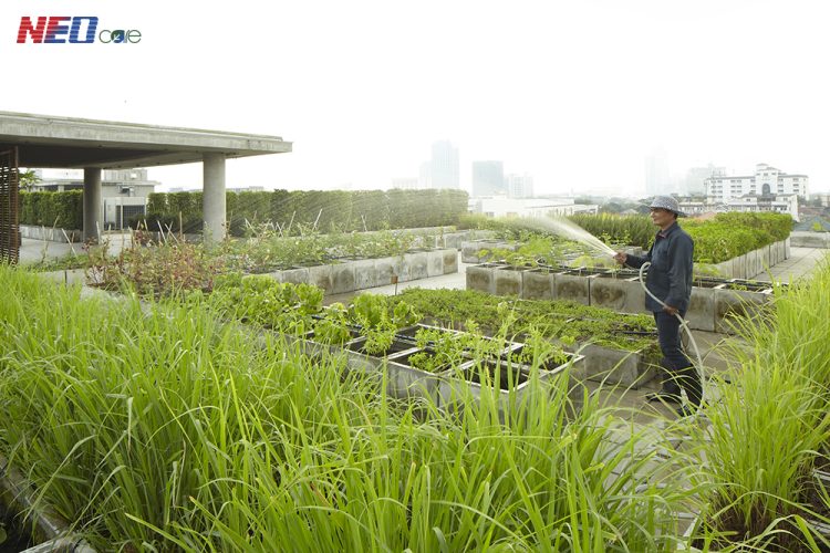 NEO Innovation from Core to CARE | NEO Corporate